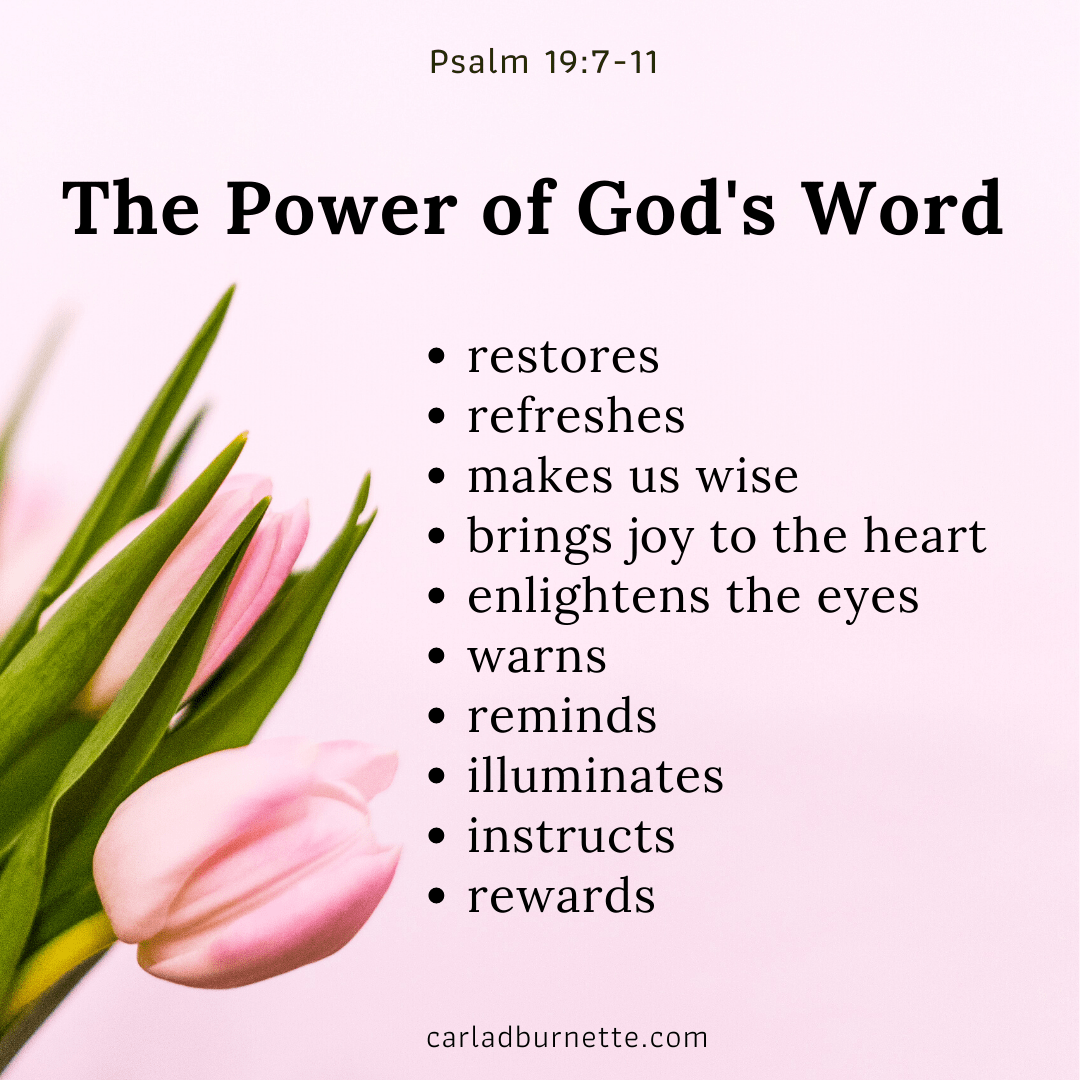 God's Word: A Precious Treasure - Carla D Burnette